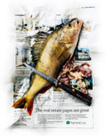 Print Ad Mocking Newspaper Effectiveness | Real Estate Guide - THE BIG AD