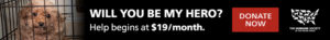 Irresistible, Small, Web Banner Ad for Humane Society - THE BIG AD
