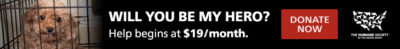 Irresistible, Small, Web Banner Ad for Humane Society - THE BIG AD