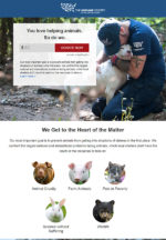 Irresistible, Small, Web Banner Ad for Humane Society - THE BIG AD