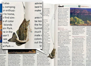 Creative Ad Placement (in Magazine Fold Crease) - THE BIG AD