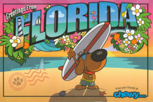 Fun, Handwritten, Follow-up Post Card | Chewy - THE BIG AD