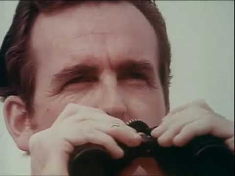 Classic Volvo Commercials from the 1960s and 1970s - THE BIG AD